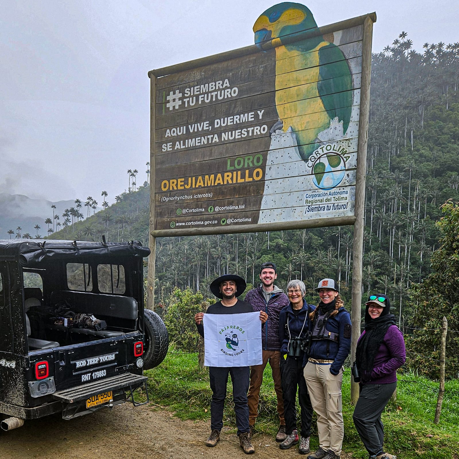 TOP 5 Best Birding Spots in Central Andes, Colombia - Pajareros Birding Tours Birding Tour